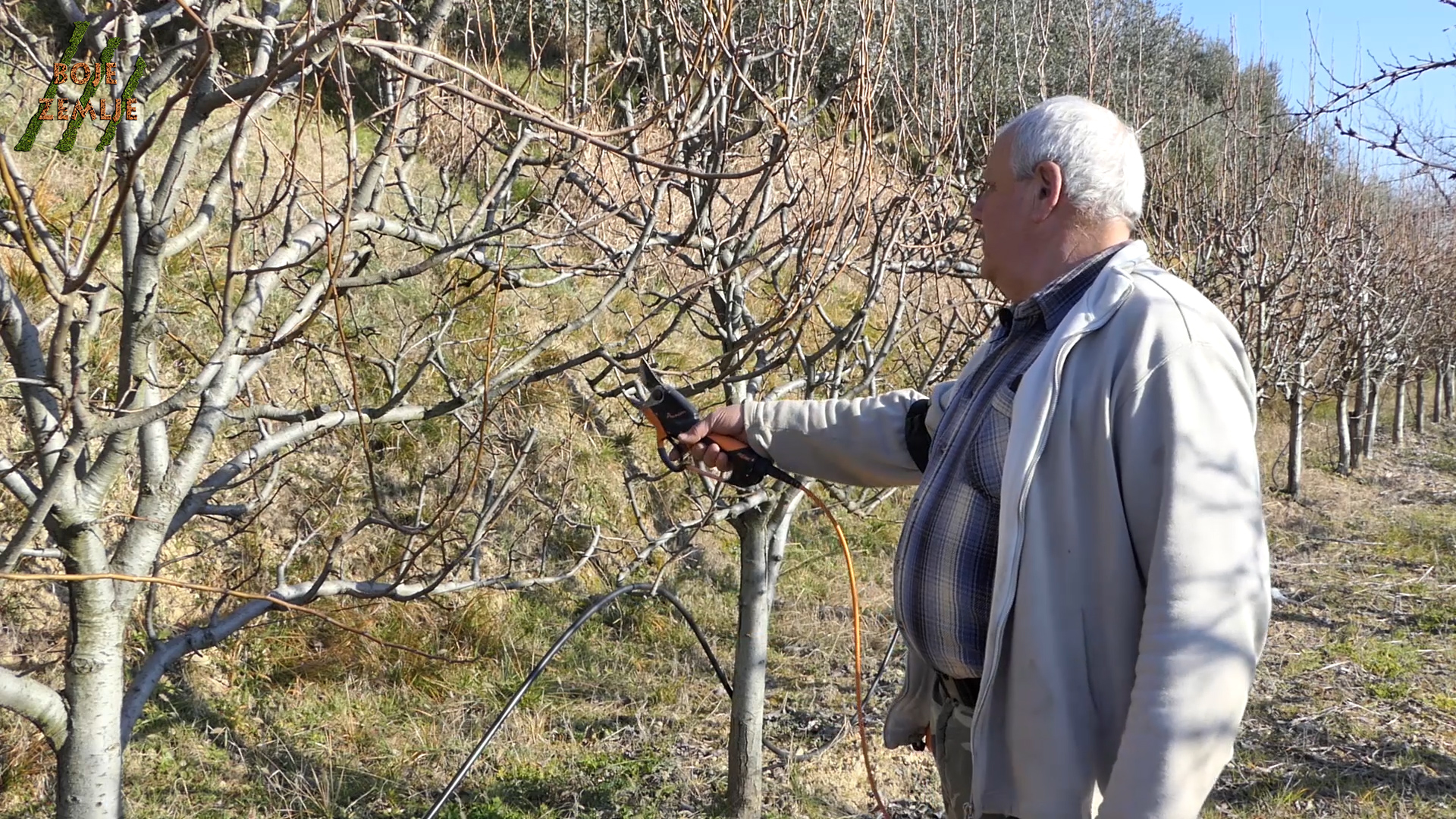 Vrijeme je za rezidbu voćaka - Boje zemlje