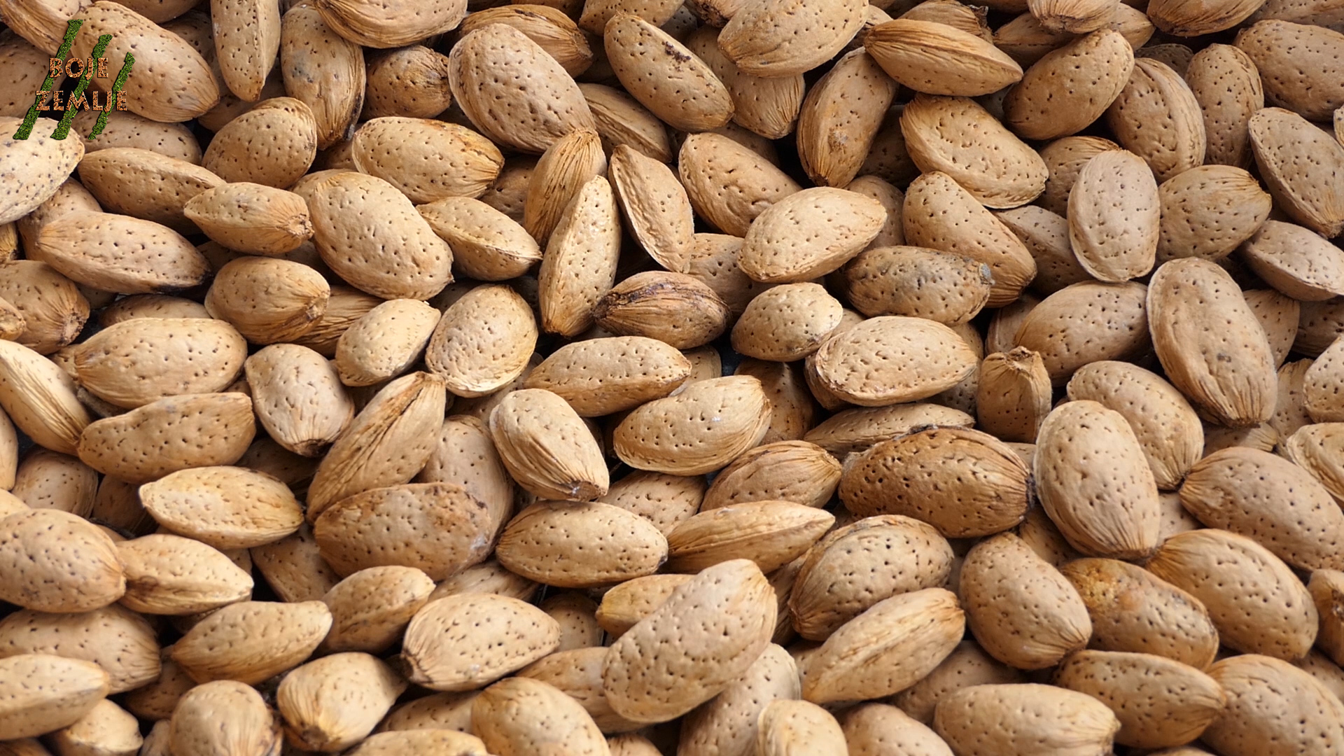 Badem, bajam, mendula, mandula - Boje zemlje