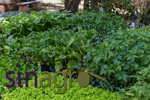 Agrarija SIN AGRO na usluzi svojim korisnicima - Boje zemlje