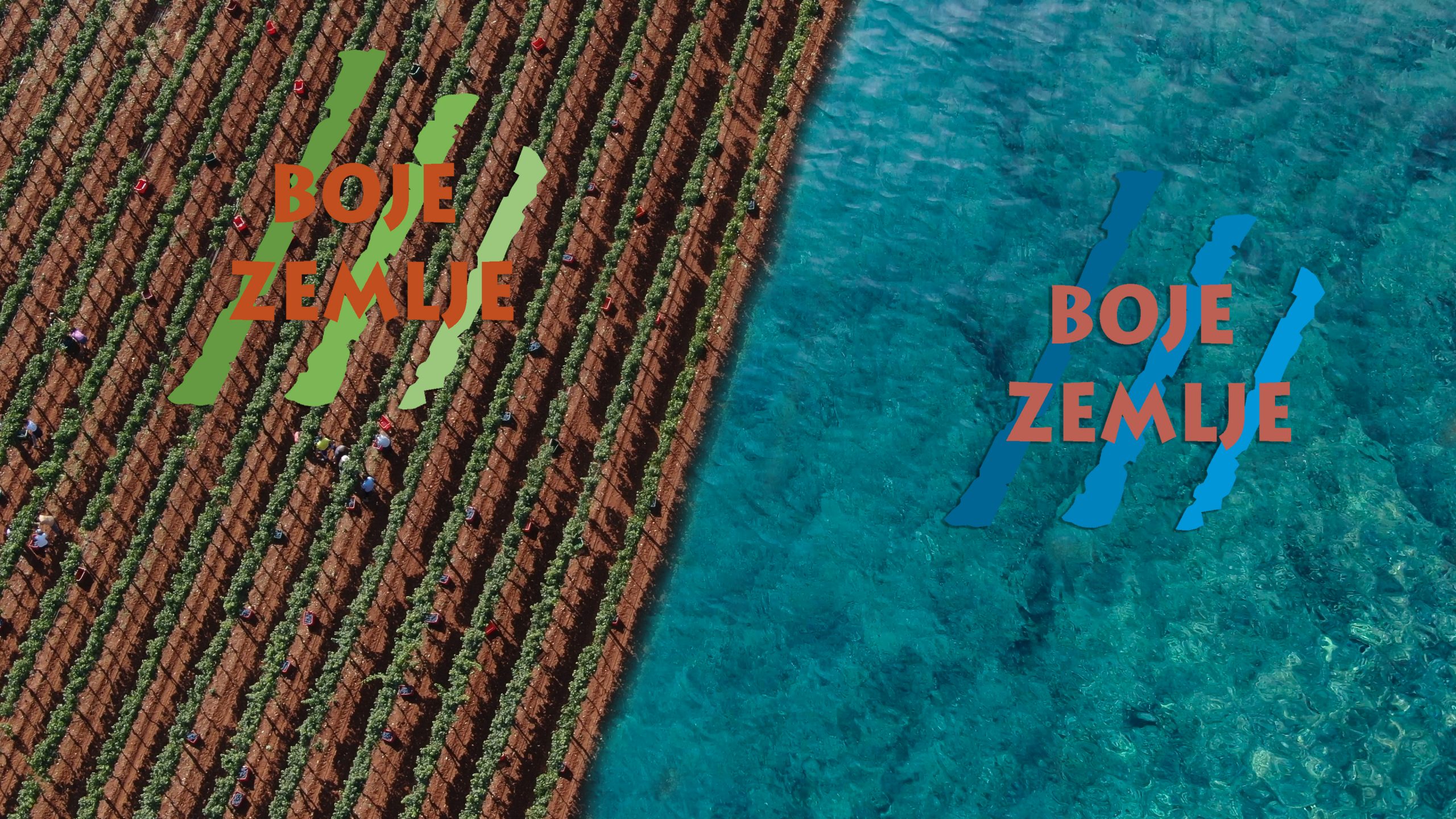 Arhiva microgreens - Boje zemlje