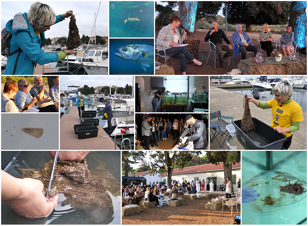 Boje zemlje emisija o moru 26.11.2023. - Boje zemlje