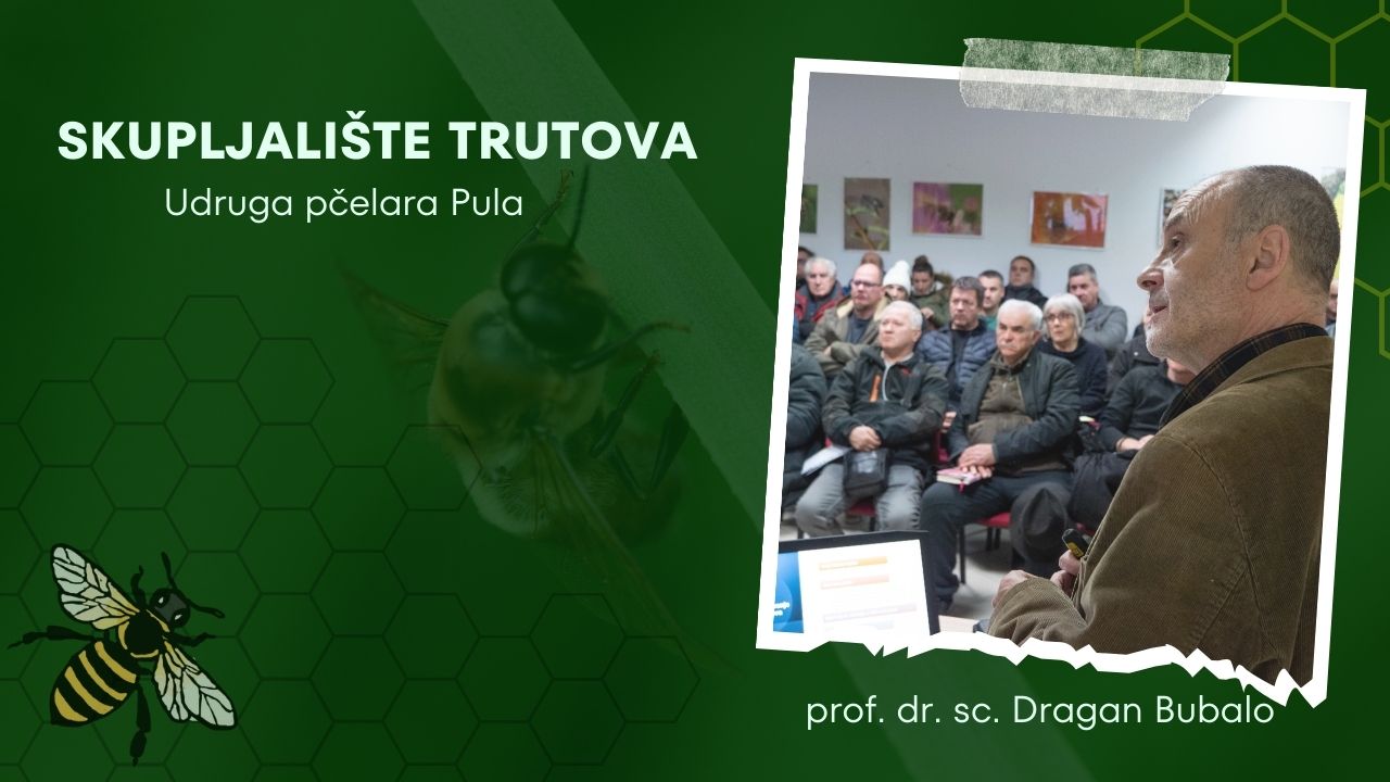 Dok pčele miruju, pčelari se educiraju: Skupljalište trutova i oplodnja ...