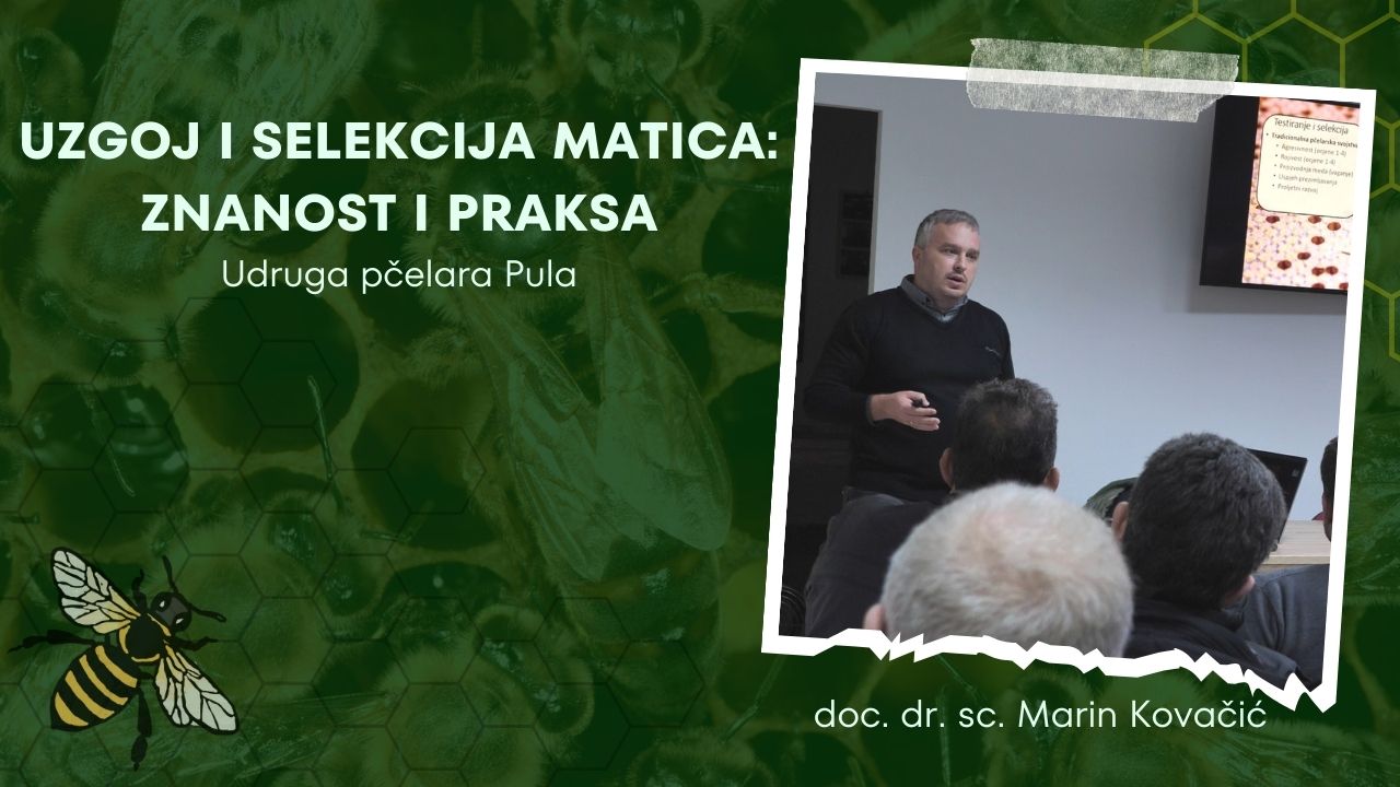 Uzgoj i selekcija matica: Znanost i praksa - Boje zemlje