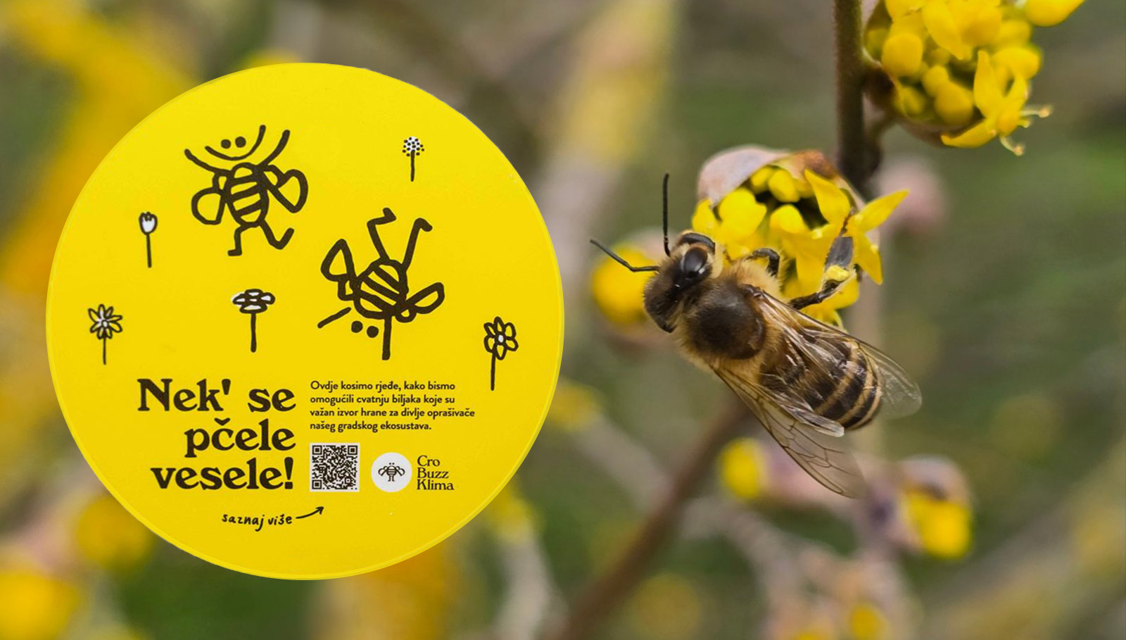 Pčele u urbanim sredinama treba spasiti - Boje zemlje