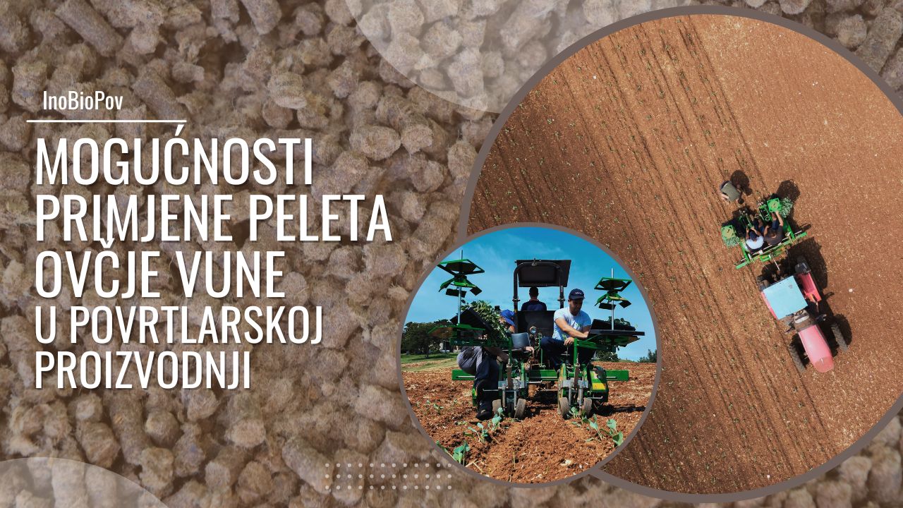 Mogućnosti primjene peleta ovčje vune u povrtlarskoj proizvodnji - Boje ...